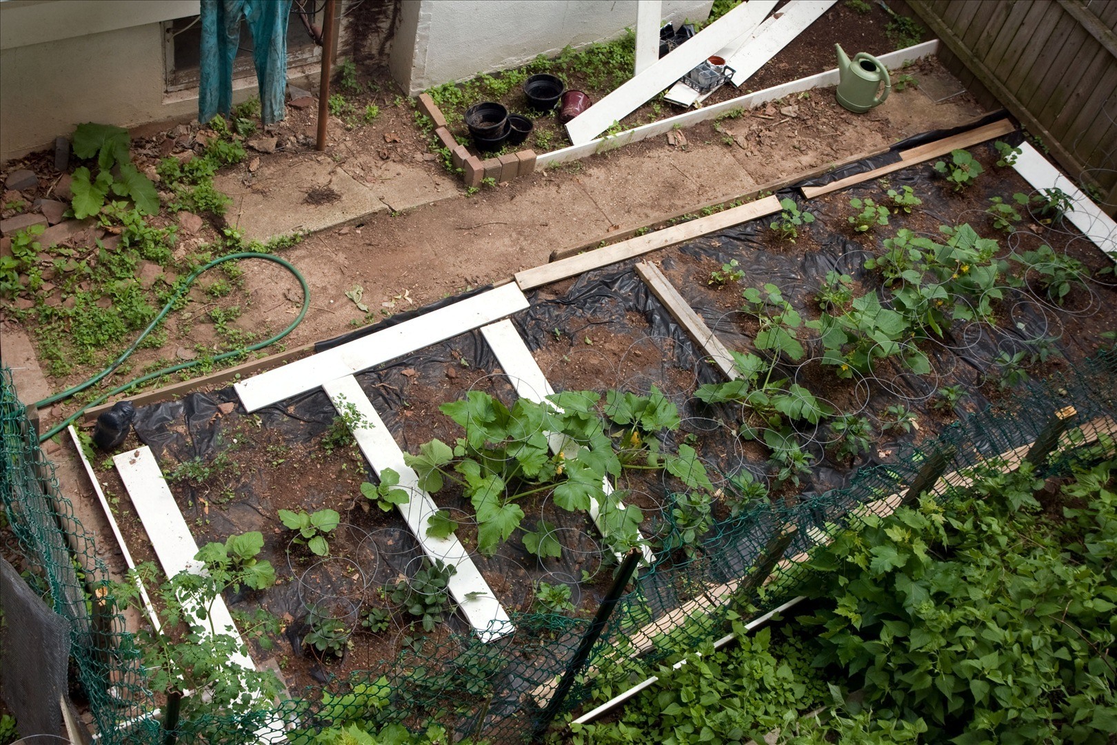 Urban Agriculture in Philadelphia - Green City Journal